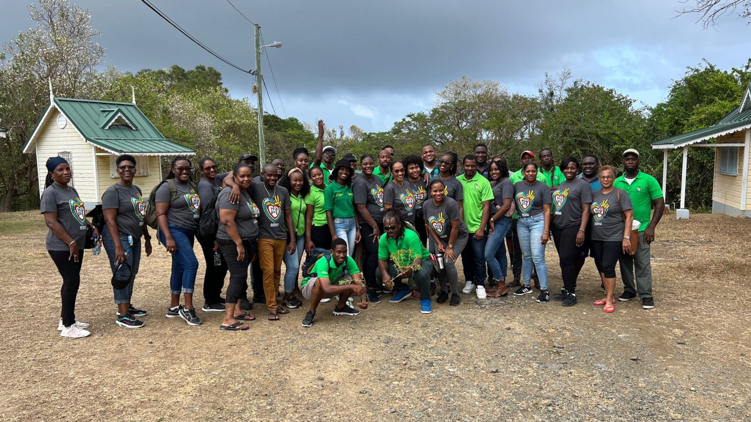 Sandals Foundation Plants Close To 1000 Food-Bearing Trees For Earth ...