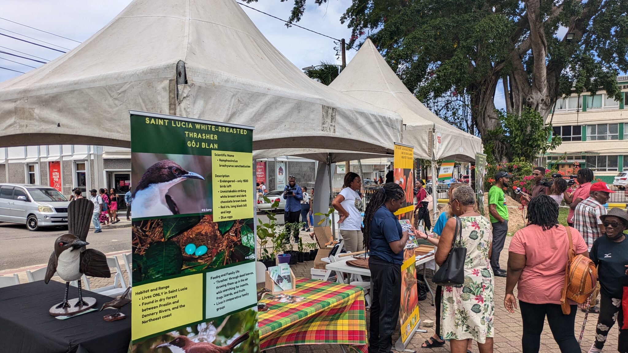 Exhibition Showcases Saint Lucia’s Unique Wildlife, Highlights ...