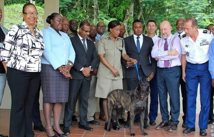 Police Await Toxicology Report in Tyson’s Death - St. Lucia Times