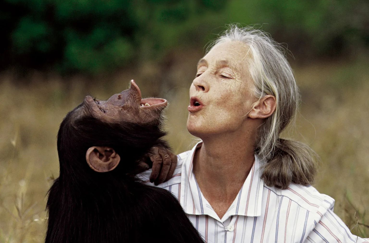 Attenborough and Prince William lead tributes to Dr Jane Goodall - St ...