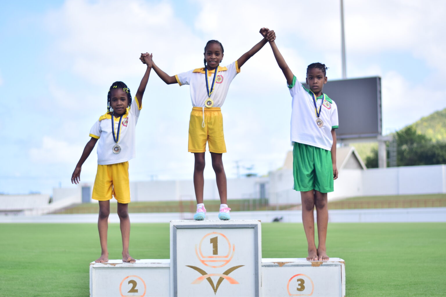 Egret wins back-to-back titles at Vide Bouteille sports - St. Lucia Times